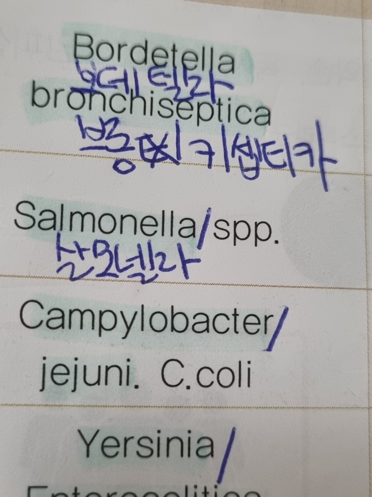 죄송 합니다 용어 정리중이라 질문이 많아요 ㅣ 궁금할 땐, 아하!